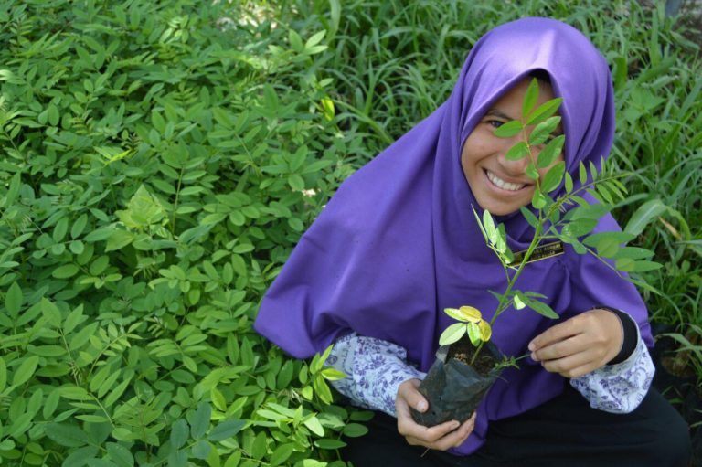 SOLIDARITY FARMING JUAL BIBIT INDIGOFERA DAN RUMPUT ODOT - PESANTREN ...